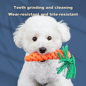 PERZOE Dog Toys, Carrot Shape Chew Toy,Squeaky Gift for Puppy Birthday Cute Toys for Small to Medium Dogs,Durable Toy for Aggressive Chewer Carrot Set