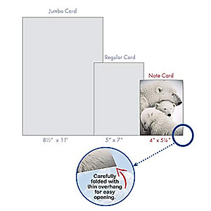 The Best Card Company - 10 Assorted Blank All Occasions Notes Box Set 4 x 5.12 Inch with Envelopes (10 Designs, 1 Each) Boxed Assorted Kid Cards of Pets - Bear Hugs AM6327OCB-B1x10