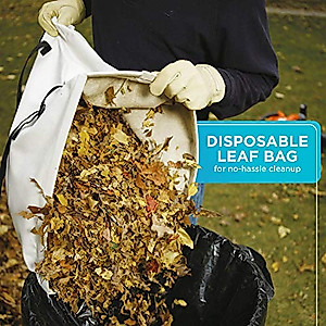 BLACK+DECKER Leaf Blower & Leaf Vacuum, 3-in-1, 12-Amp, 250-MPH, 400-CFM (BV6000)