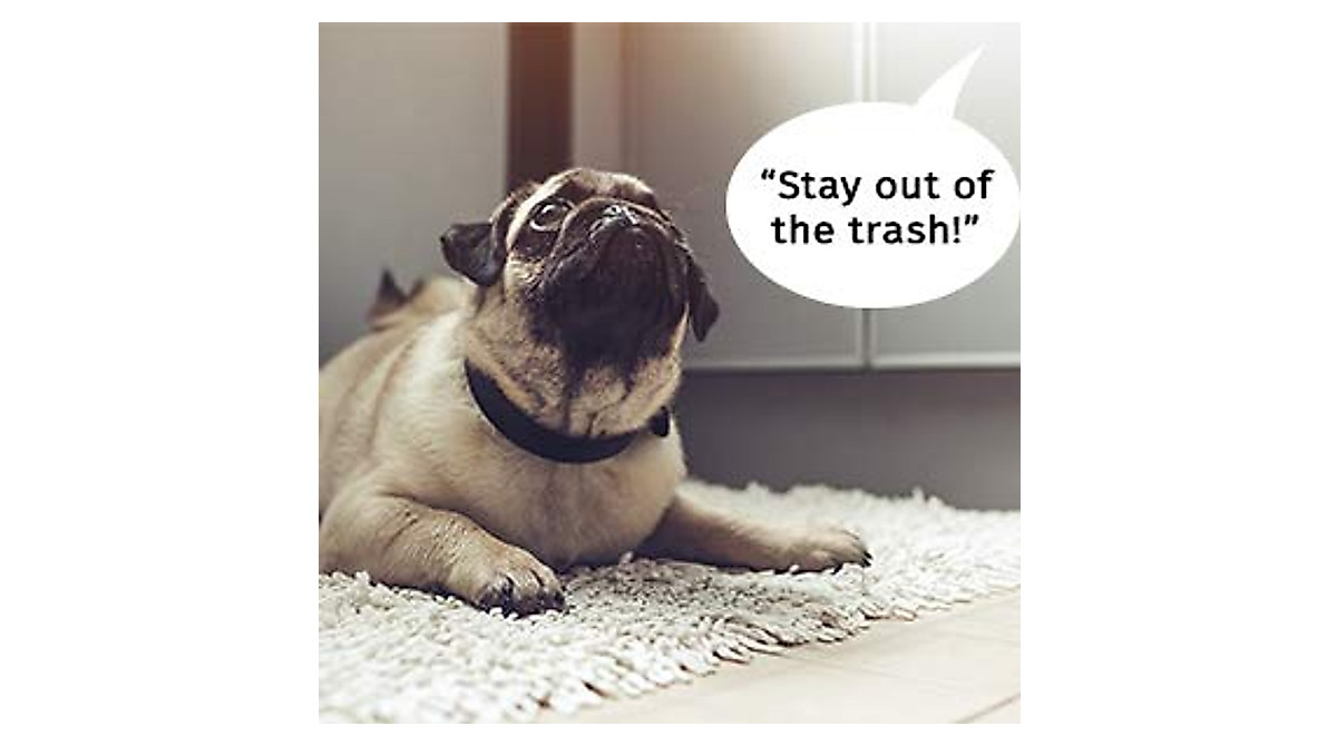 SierraTeck Motion Activated Voice Player - Recordable, Built-in ...