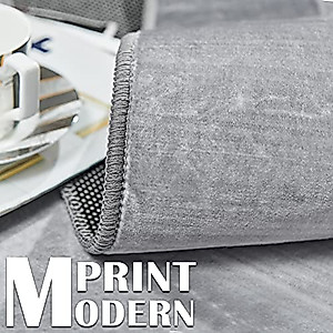 jinchan Area Rug 4x6 Modern Abstract Rug Grey Accent Rug Indoor Kitchen Rug Striped Ombre Print Mat Low Pile Rug Soft Carpet Contemporary Floor Cover for Living Room Bedroom Dining Room