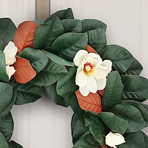 Haute Decor Southern Magnolia Leaves and Blooms on Natural Grapevine Wreath - Large 24 inch Magnolia Wreath for Front Door - Front Door Wreath for Spring, Summer, Fall
