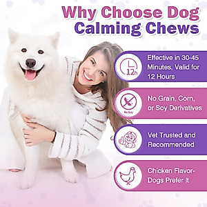 Hemp Calming Chews for Dogs 150PCs Dog Calming Treats and Bites with Hemp Oil - Anxiety and Stress Relief for Dogs Puppy Melatonin Sleep Aid Calm Dog, Noise, Thunder, Barking, Separation, Chewing