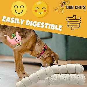 Dog Chits Beef Cheek 12", 3 Pack, Dog and Puppy Chews, Thick, Lasts for Days, 100% Cheek (not Hide), Single Ingredient, All Natural, Fully Digestible