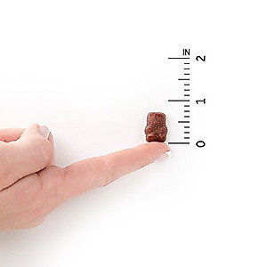 Garden of Life - mykind Organics Kids Gummy Vitamins, Certified Organic, Non-GMO & Vegan Complete Children's - B12, C & D3 Gluten, Soy & Dairy Free Real Fruit Chew Gummies, Multi, Cherry, 120 Count