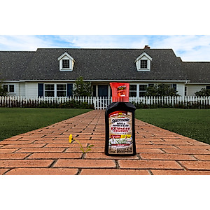 Spectracide Weed and Grass Killer with Extended Control Concentrate, 32 Ounces, with Accumeasure System