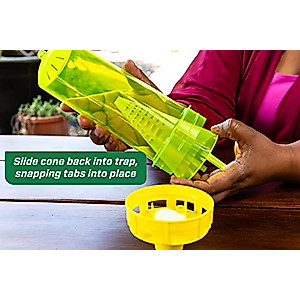 RESCUE! Reusable Yellowjacket Trap - 2 Pack + 2 Four-Week Refills
