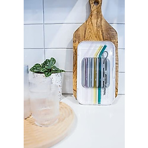 SOMA Glass Straw Set with Case and Cleaning Tool, Set of 4, Multicolor