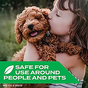 Stem Kills Ants, Roaches And Flies: Plant-Based Active Ingredient Bug Spray, Botanical Insecticide For Indoor And Outdoor Use; 12 fl oz (Pack Of 1)