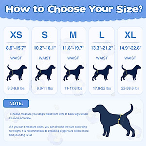 Dog Diapers Female, 10 Count Size S, Disposable Stretchy Diapers for Female Dog, Pulled Up Diaper for Dogs, Super Absorbent Leak-Proof Puppy Small Diapers for Doggy in Heat Period