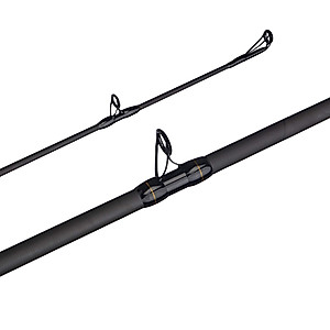PENN Fishing Battalion II Inshore Casting Fishing Rod, Black/Gold, BATINII1017C70, 7' - Medium - 1pc