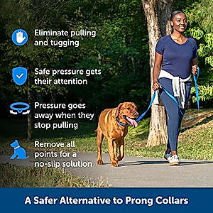 PetSafe Soft Point Training Collar - Helps Stop Pulling - Safer Than Prong or Choke Collars - Teaches Better Leash Manners - No Pull Training Collar with Rubber Points for Dogs - Large, Black