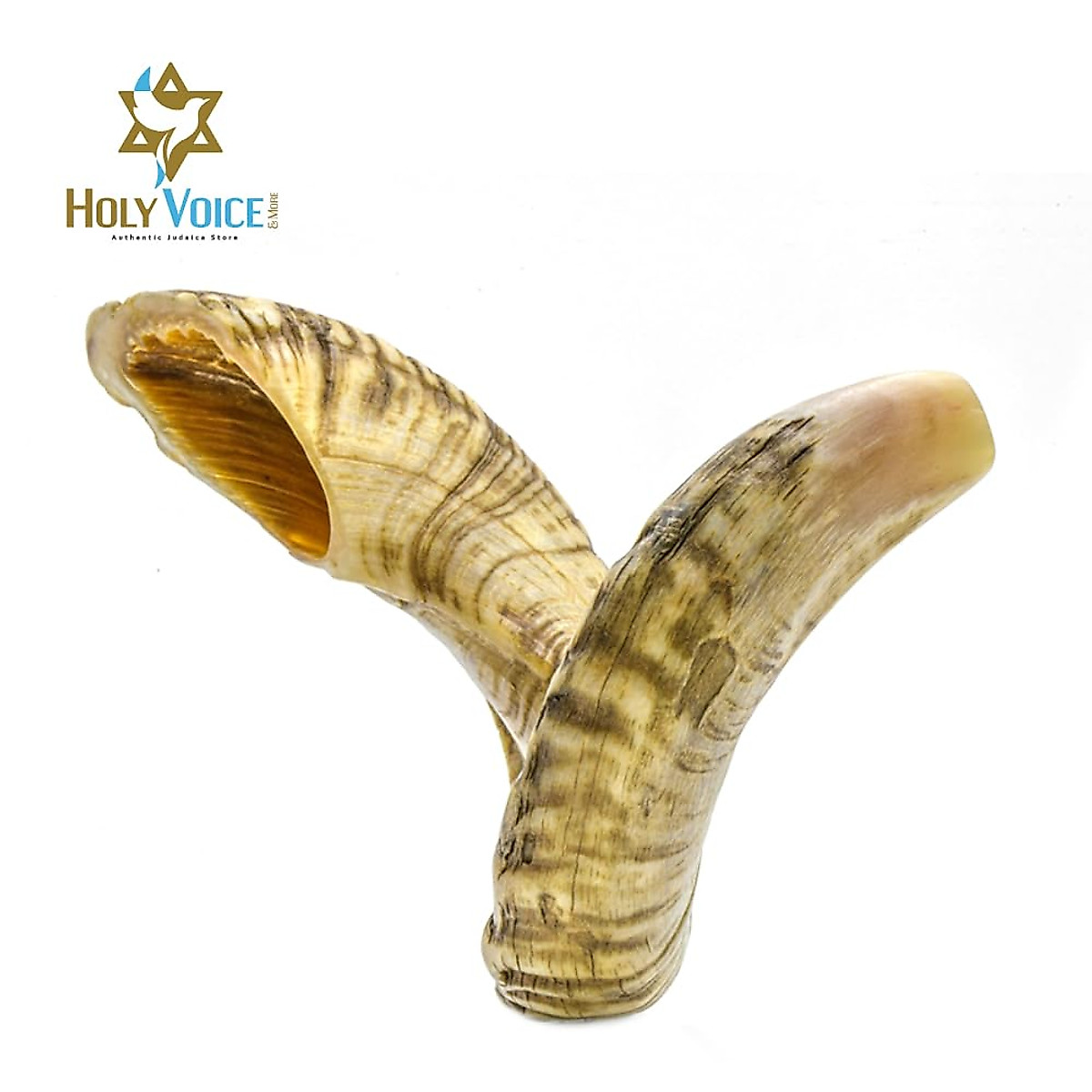 Holy Voice Yemeni Shofar Horn from Israel - Yemeni 24"-26" Shofar with Shofar Stand, Carrying Bag, Brush, Anti-Odor Spray – Made in Israel.