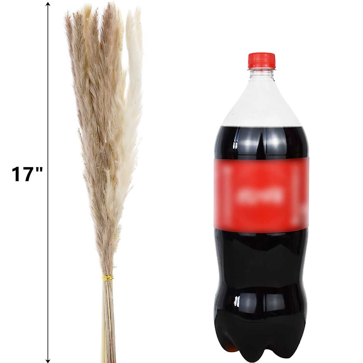 DEAYOU 65 PCS Natural Dried Pampas Grass, 17" Tall Dry Pampas Grass Branches for Boho Decor, Fluffy Pompous Reed Plants Stems Bundle for Flower Arrangements, Home Wedding Decor, 5 Styles