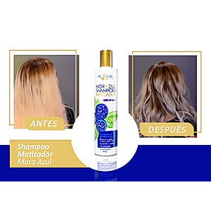 SHAMPOO MORAZUL MATIZADOR