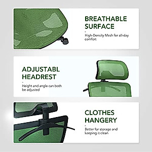 FLEXISPOT Office Chair Home Office Desk Chairs with Wheels Computer Chair with Lumbar Support Swivel Headrest Green