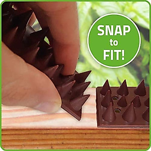 DE-BIRD: Defender Spikes, Cat and Bird Deterrent - Outdoor Pest Defender to Keep Off Pigeon, Squirrel, Woodpecker & More. Plastic Deterrent Anti Theft Climb Strips - 20pk [20 Foot]