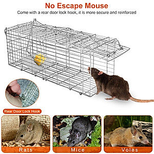 KOCASO Humane Live Rat Trap Foldable Live Animal Trap Humane Foldable Rat Trap Cage W/Detachable L Shaped Rod Squirrel Trap Galvanized Iron Mice Mouse Cage/Small Groundhog Control Bait Catch