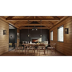 Progress Lighting P500041-031 Briarwood Pendants, Ceruse Black 9.00x10.00x10.00