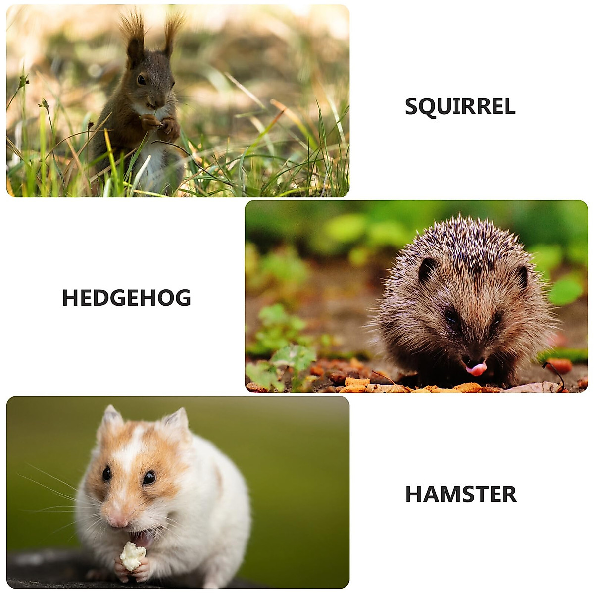 POPETPOP Hamster Arch Bridge Parrot Toys Rabbit Toys Bunny Toys Corncobs Hamster Ladder Wear-Resistant Chinchilla Plaything Parrot Bites Toy Small Pet Ladder Toy Corn Cob Molar Hamster Cage