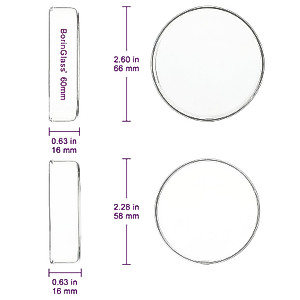BorinGlass Glass Petri Dishes, Autoclavable Glass Cell Culture Dishes Lab Dishes with Clear Lid, 60x15 mm, Pack of 10
