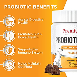 PREMIUM CARE Probiotics for Dogs for Yeast, Itchy Skin and Itchy Ears - Advanced Probiotic for Gut Health, Gut Flora, Bowel Health Support, Diarrhea, Digestive Health & Seasonal Allergies- 120 Chews