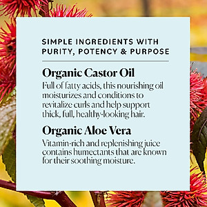 Sky Organics Curl Care Wash Day Shampoo - USDA Certified to Cleanse, Hydrate & Enhance Curls, 12 fl. Oz