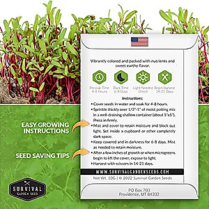 Survival Garden Seeds Beet Microgreens for Sprouting and Growing - 3 Packs - Sprout Green Leafy Micro Vegetable Plants Indoors - Grow A Mini Windowsill Garden - Non-GMO Heirloom Variety