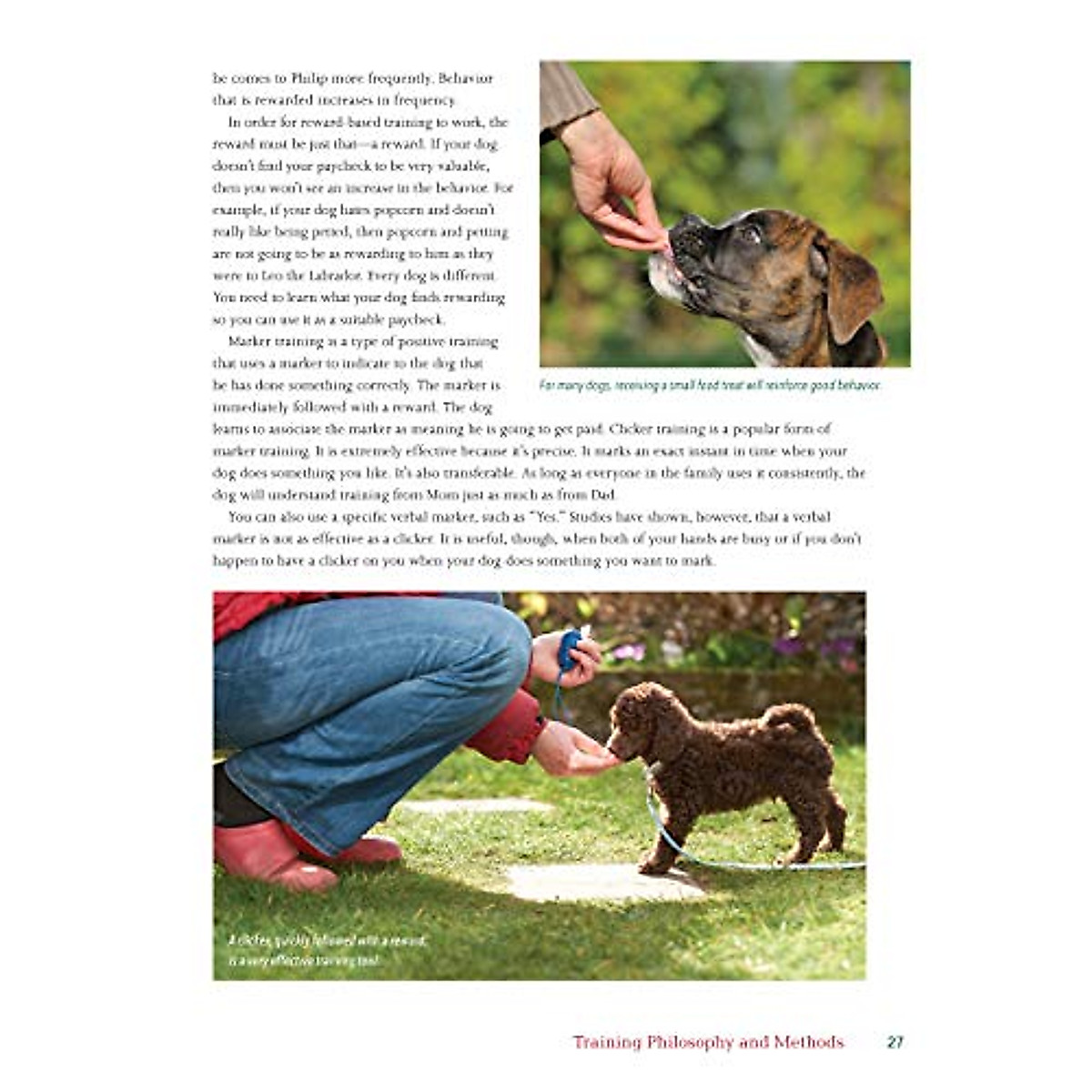 The Dog Behavior Problem Solver: Step-by-Step Positive Training Techniques to Correct More than 20 Problem Behaviors (CompanionHouse Books) Fix Barking, Separation Anxiety, Chewing, Begging, and More