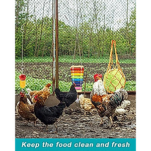 Woiworco 5 Packs Chicken Toys, Chicken Xylophone Toy for hens, Chicken Mirror Toys, Chicken Ladders Swing Toys and Vegetable Hanging Feeder Chicken Coop Accessories