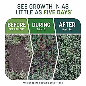 Pennington Smart Patch Sun and Shade Mix Jug 5 lb