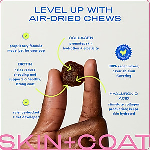 Native Pet Skin and Coat Chews for Dogs - Made with Wild-Caught Salmon Oil for Dogs Skin and Coat - Omega 3 for Dogs - Dog Shedding Supplement for Dog Hair Loss Treatment, Dog Hair Regrowth - 60 Chews