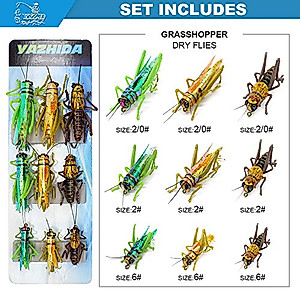 YZD Fly Fishing Realistic Dry Wet Nymph Trout Flies Steelyard Style-Grasshopper Series Hand Tie Lures Kits 9pcs