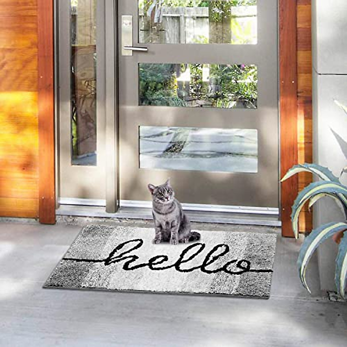 SUNNOW Indoor Doormat Front Door Entrance Door Mat 36x24 inch Non-Slip Absorbent Mud Trapper Mats, Machine Washable Low Profile Inside Entryway Small Area Rug