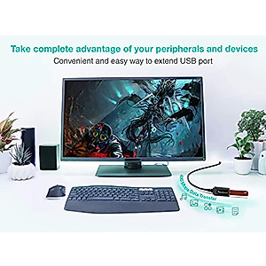 BlueRigger USB 2.0 Type A Male to A Female Active Extension/Repeater Cable - 32 Feet (10M)