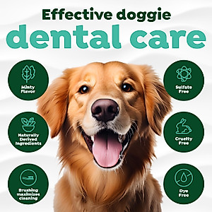TropiClean Fresh Breath Dog Oral Care Kit | Complete Dog Toothbrush and Toothpaste Set for Plaque & Tartar Control | Dog Tooth Brushing Kit for Large Dogs