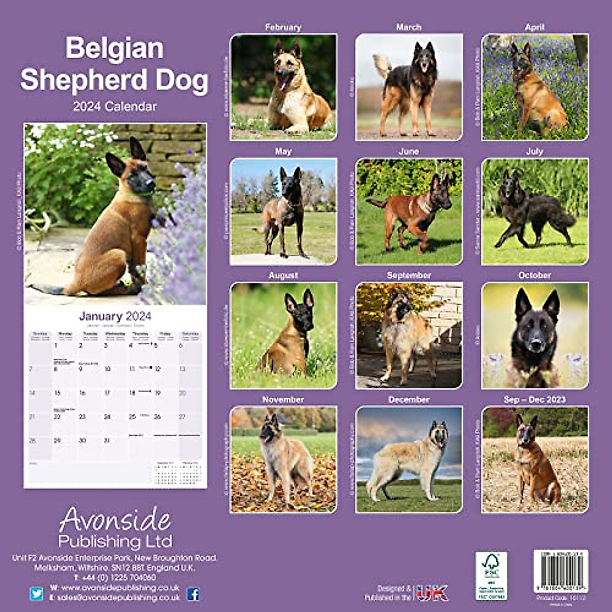 Belgian Shepherd Calendar - Dog Breed Calendars - 2023 - 2024 wall calendars - 16 Month by Avonside