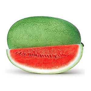 Charleston Grey Watermelon Seeds for Planting, 30+ Heirloom Seeds Per Packet, (Isla's Garden Seeds), Non GMO Seeds, Botanical Name: Citrullus lanatus, Great Home Garden Gift