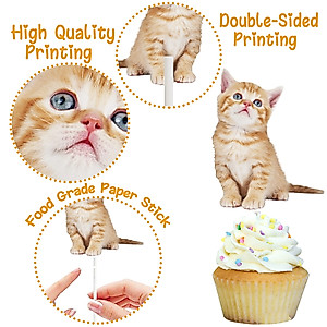 36pcs Baby Cat Cupcake Toppers Cute Cat Cupcake Toppers Kitten Pet Birthday Party Decoration for Kitty Cat Theme Birthday Party Baby Shower Supplies