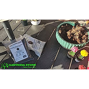 Premium Organic Compost Screened 2 lbs