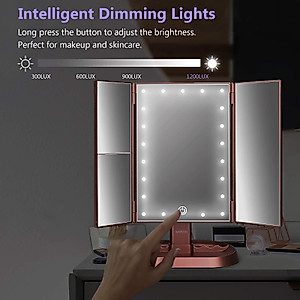 deweisn Trifold Lighted Vanity Makeup Mirror with 21 LEDs Lights,1x/2x/3x Magnification and Touch Screen Dimming,Two Power Supplies Makeup Mirror, Gift for Women