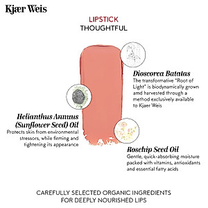Kjaer Weis Lipstick. Hydrating Nude Lip Color with Soft Satin Finish. Organic, Nourishing Ingredients for Long Lasting Lipstick with Smudge-Proof Wear. Cruelty Free Clean Makeup (Thoughtful Iconic)