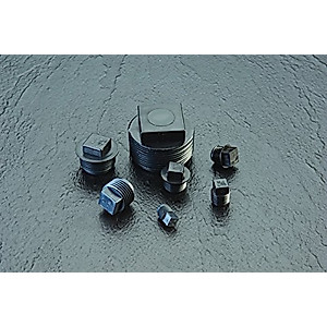 Caplugs TPN-1-F – TPN Series – Square Head Threaded Plugs with Flange, 15 Pack, High-Density Polyethylene (PE-HD), Black, to Plug NPT Thread Size 1/8 – 27, Oil & Heat Tolerant (ZTP1F1KA1)