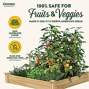 Greenes Fence Raised Garden Bed, 48" L x 48" W x 7" H, Cedar