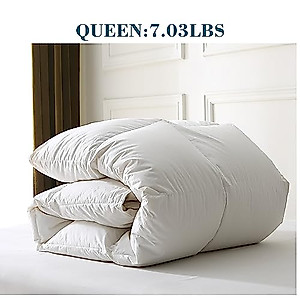 BPC Queen Size Down Comforter - Goose Duck All Season Down Comforter with Filling Down and Feather and Cotton Cover - Duvet Insert or Stand-Alone Down Comforter