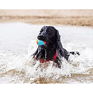 ChuckIt! Amphibious Fetch Balls, Set of 3