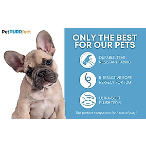 Pet PURRfect Squeaky Dog Toys: Durable Plush Dog Toys with Soft, Durable Fabric for Small and Medium Pets - Elephant Stuffed Dog Toy for Indoor Play!