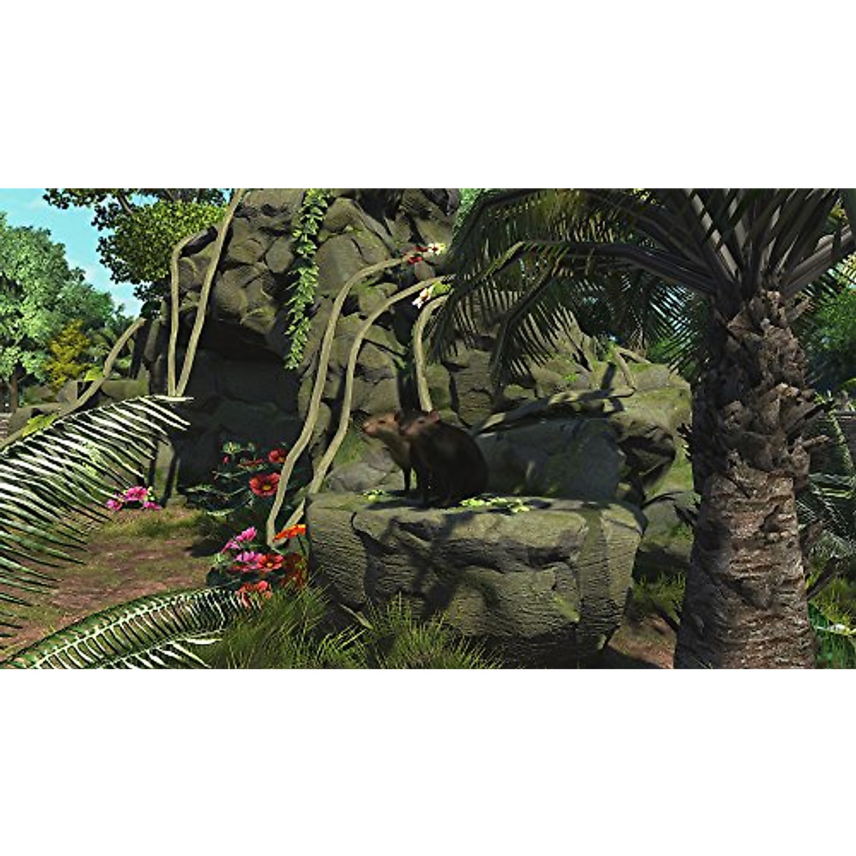 Zoo Tycoon Definitive Edition - XBONE
