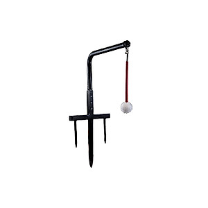 Club Champ Swing Groover