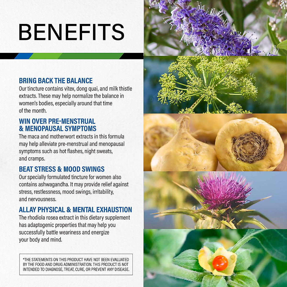 Women's Balance Tincture (4 Fl. Oz.) - Liquid Extract Relief for Pre-Menstrual & Menopausal Symptoms - Vitex, Dong Quai, Maca, Rhodiola, Ashwagandha, Motherwort, Milk Thistle